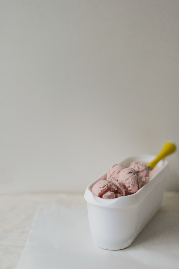 Cranberry Orange Zest Ice Cream » Betty L